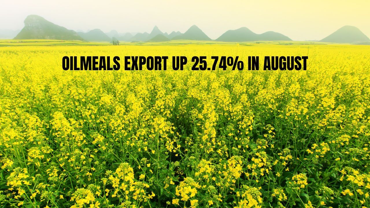 Oilmeals Export Records a 25.74% Rise in August