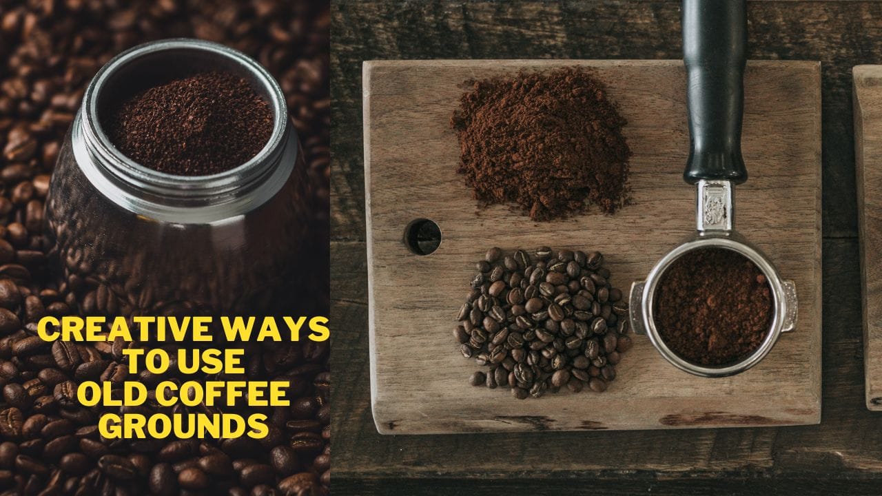 Creative Ways to Use Old Coffee Grounds