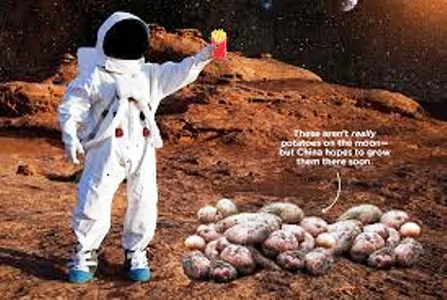 Why Potatoes can be planted on Moon