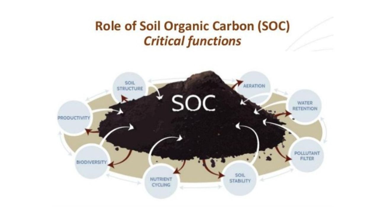 Soil Carbon: An Ultimate Essence for Thriving Ecosystems; Master Soil ...