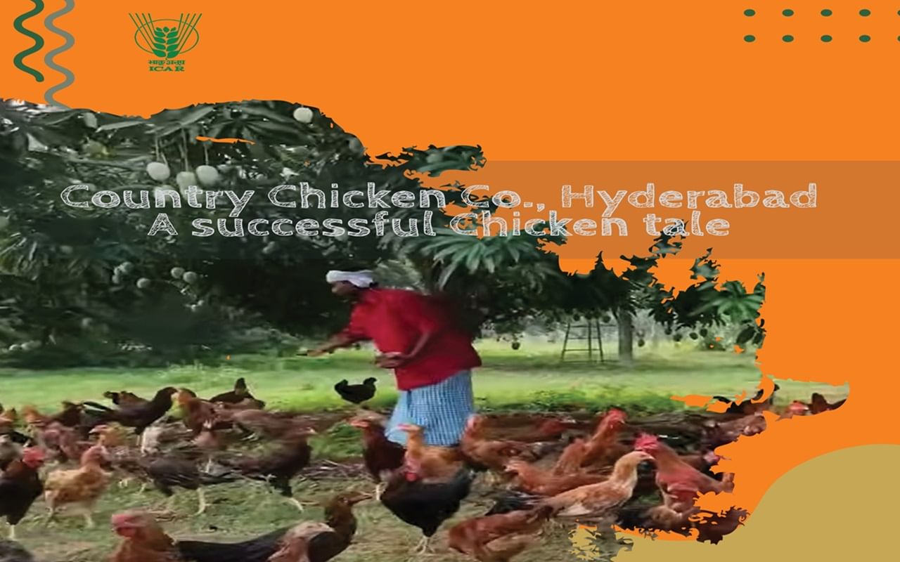 Country Chicken Co., Hyderabad Success Story Features on Asian Meat ...