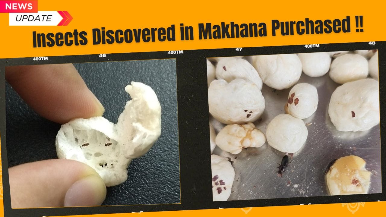 Insects Discovered in Makhana Purchased from Flipkart, Company Issues a ...