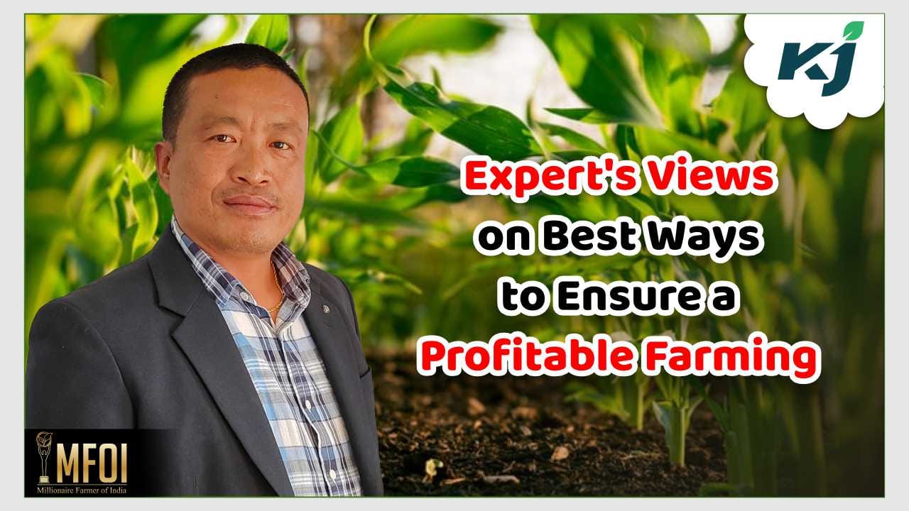 Powering Profitability: Expert Highlights The Role of Adequate Capital ...
