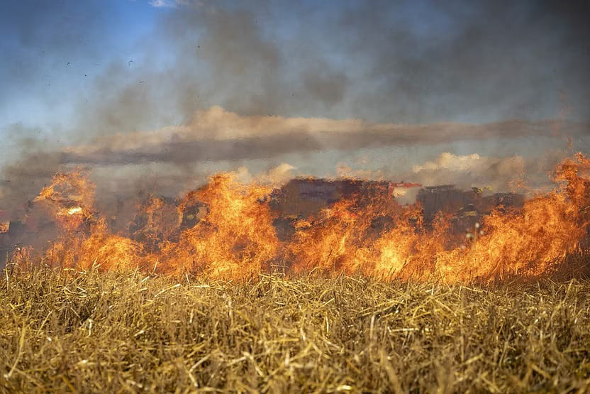 Stubble Burning Incidents Drop to 6391 in Northern States, Compared to ...