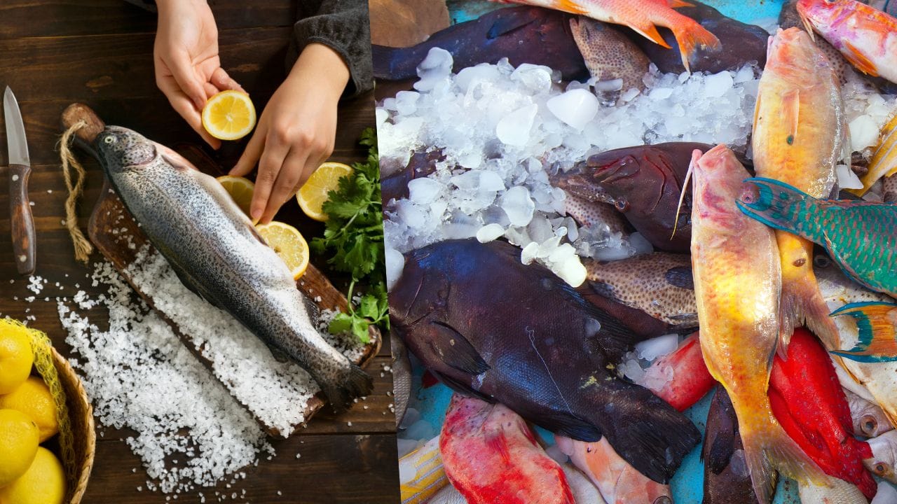 Fish Curing: A Hygienic Twist to Curing Unveils a Sea of Quality and ...