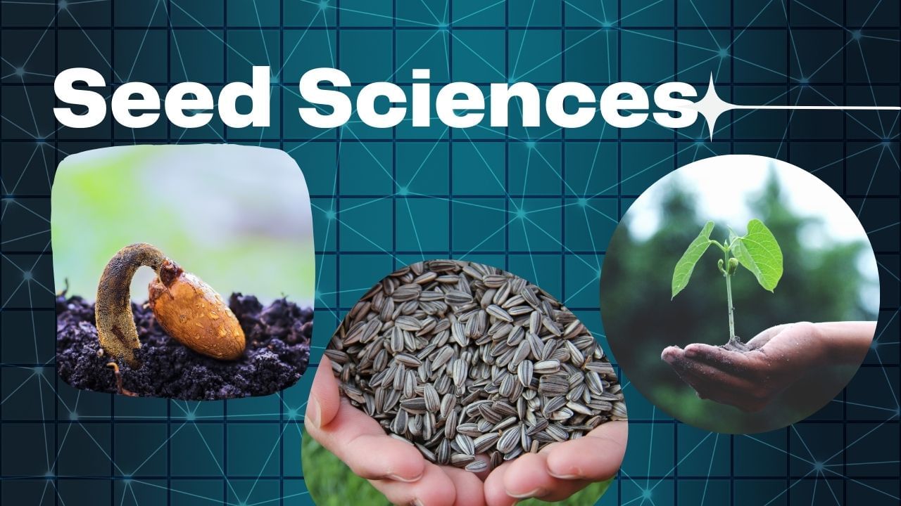 Seed Sciences Chronicles: From Germination to Biodiversity