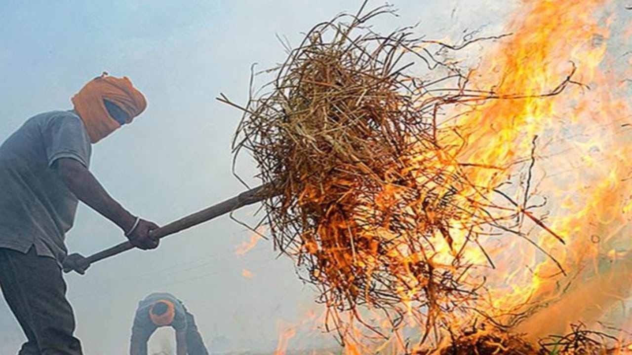 Stubble Burning: NGT Pulls Up Punjab Government on Poor Air Quality