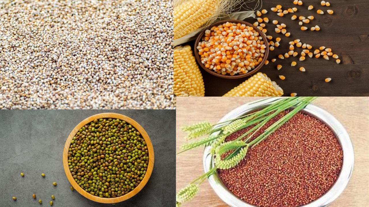 MSP: Maize, Moong, Bajra, and Ragi Prices Lag Behind, In Contrast to ...