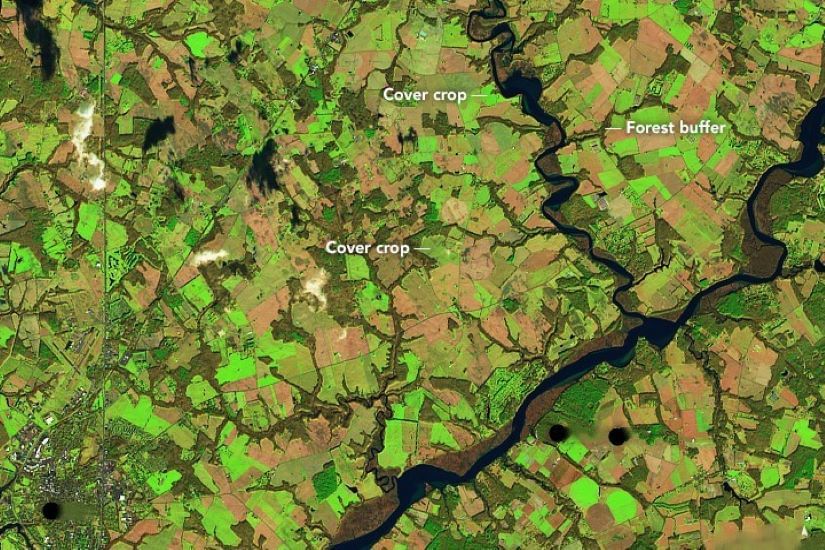 ISRO Leveraging Artificial Intelligence & Machine Learning in Space and Agriculture Sector