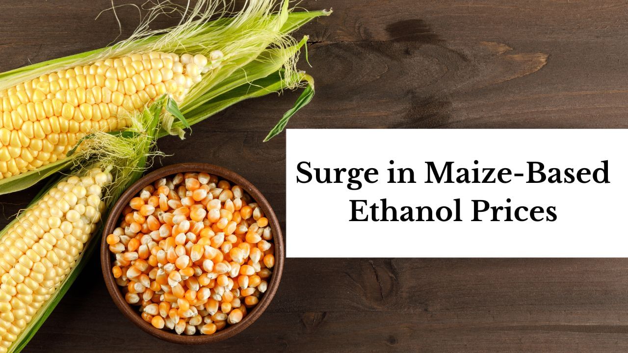 Oil Marketing Companies Elevate Procurement Price for Maize-Based Ethanol, Check Out the Surge!