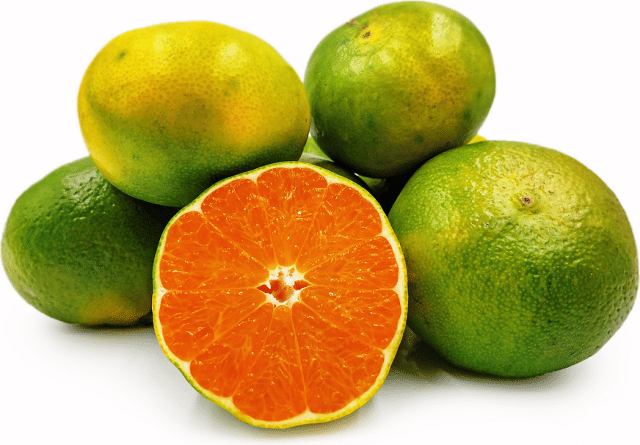 Meghalaya’s Khasi Mandarin Oranges in World’s First Food Atlas