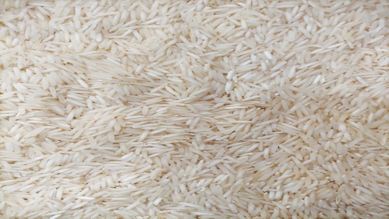 Basmati Paddy Wholesale Prices Plummets by Over 50% Month-on-Month in ...