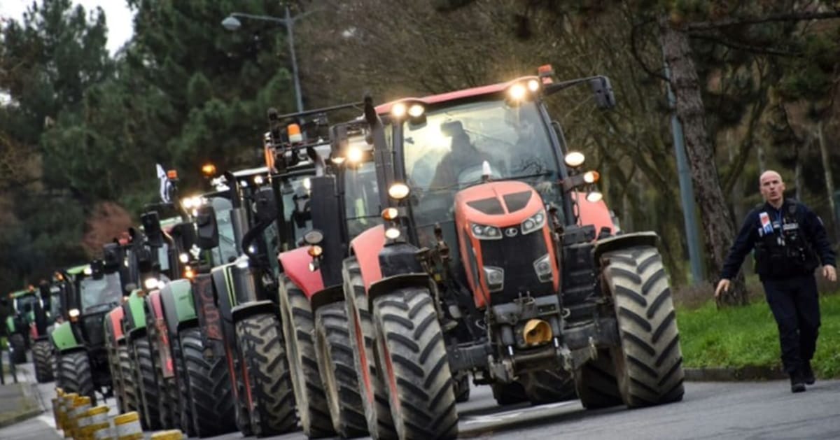 Polish Farmers Launch Month-Long Protest, Demand Resignation of EU ...