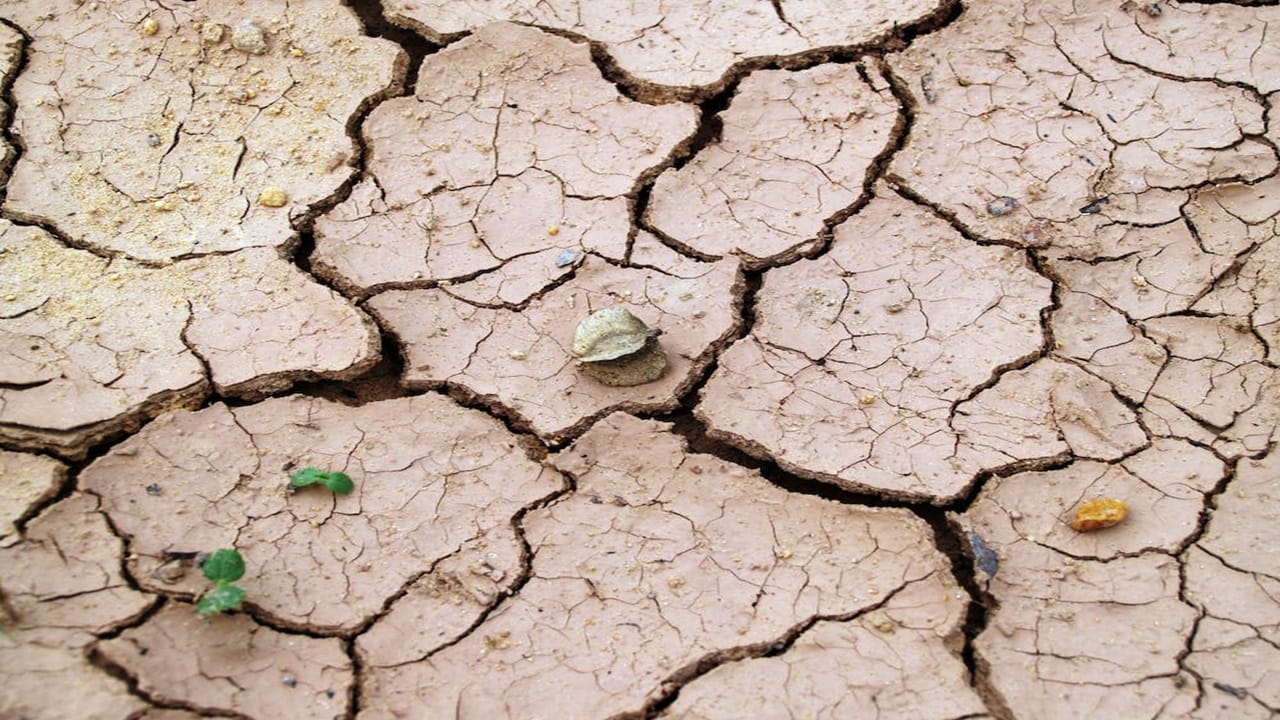 Leaders and Experts Emphasise Agricultural Innovation at Drought ...