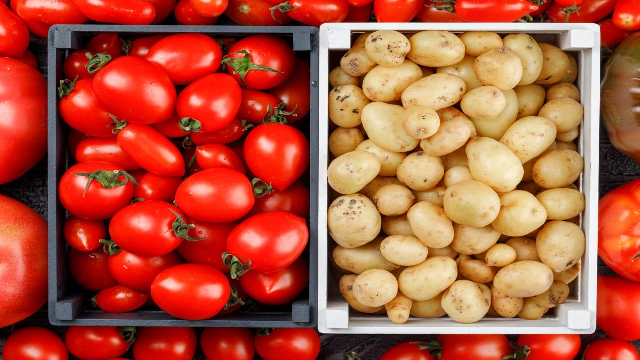 Viral Video: Fusion of Potatoes and Tomatoes Makes Pomato, Check Here