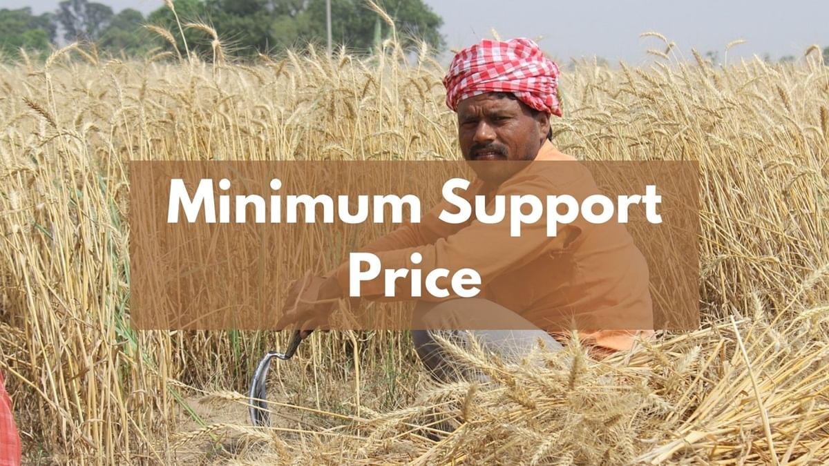 Minimum Support Price Explained: All You Need to Know from Covering ...
