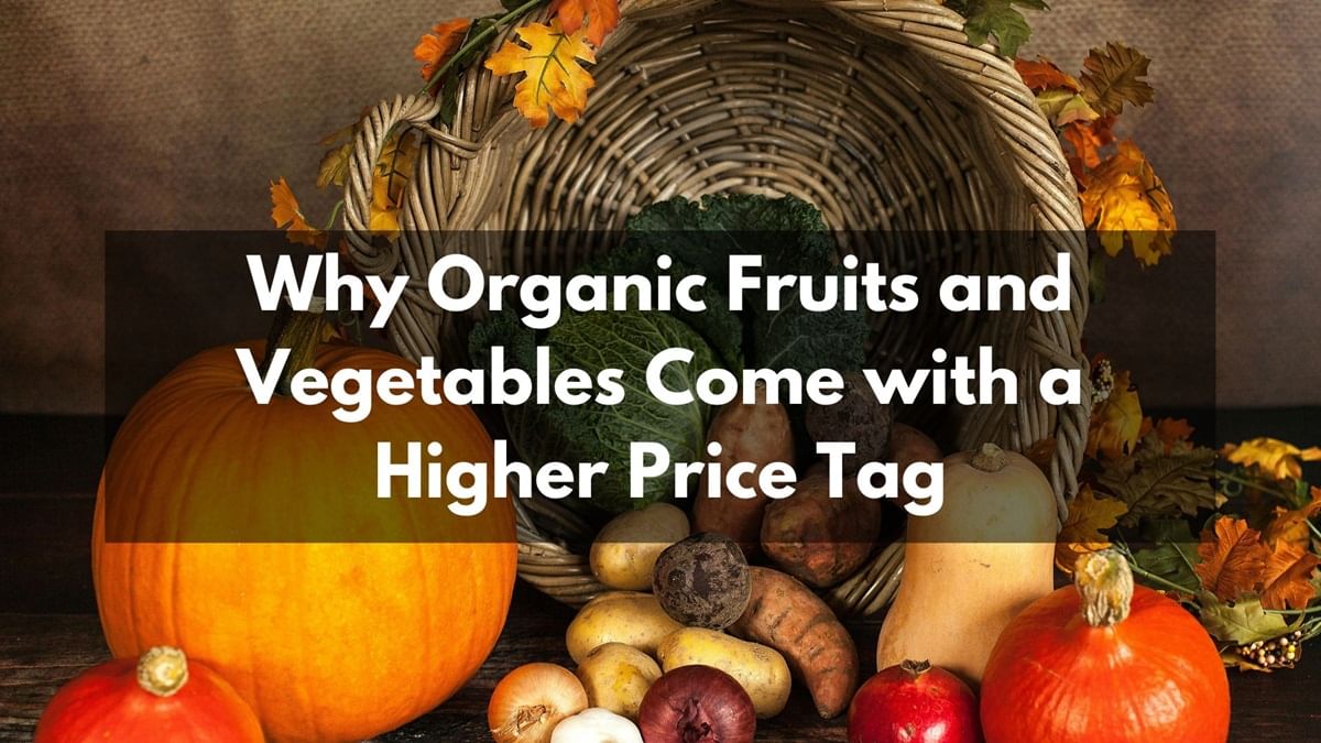 Why Organic Fruits and Vegetables Come with a Higher Price Tag: Explained