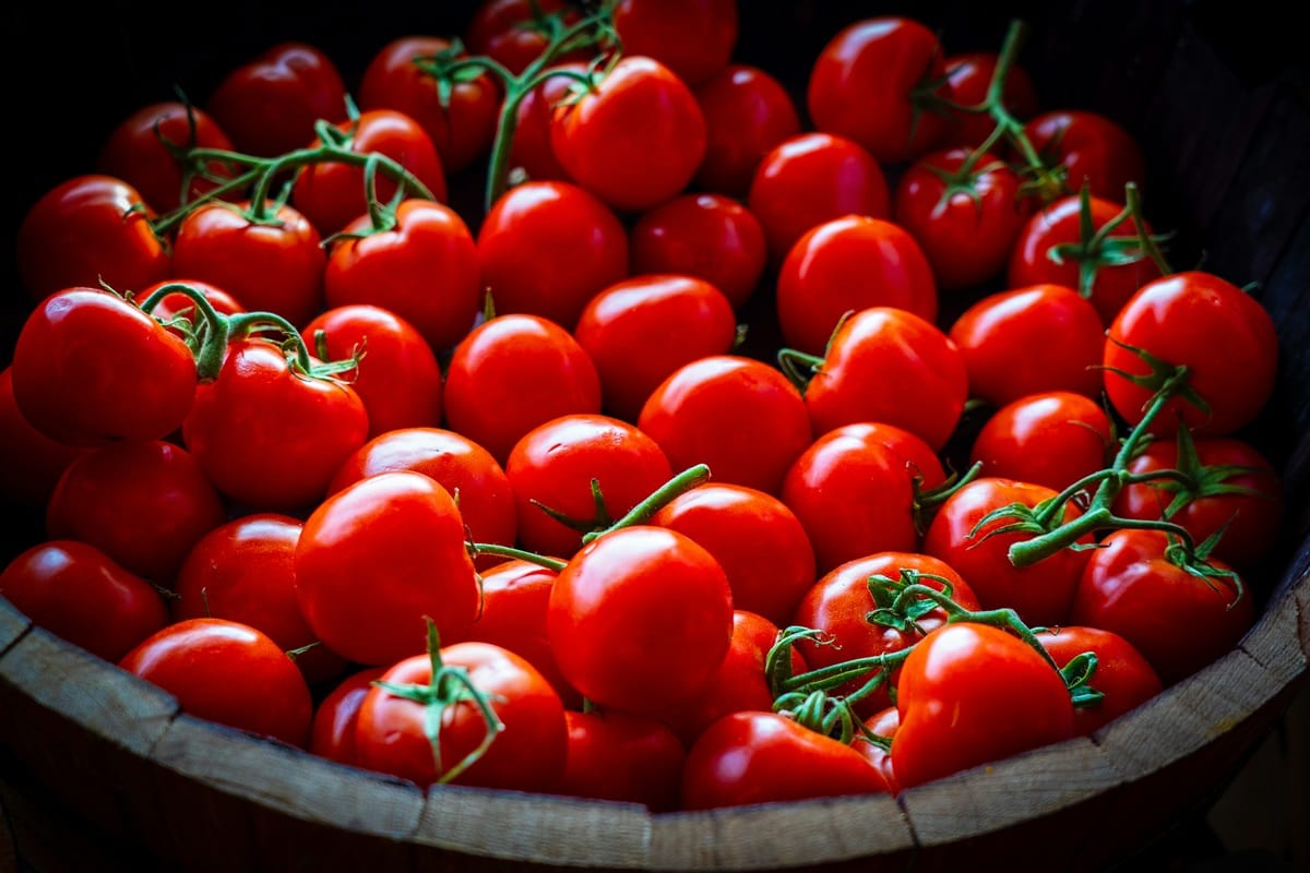 Grow Your Cherry Tomatoes With This Complete Guide