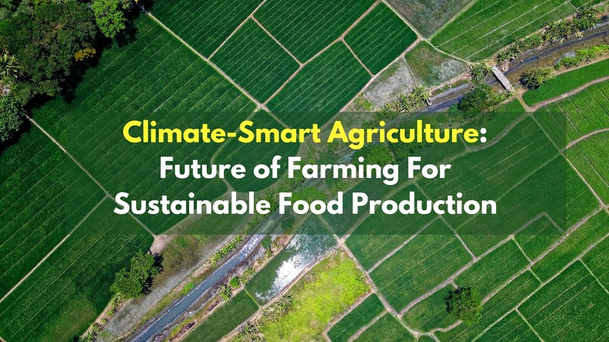 Green is the New Gold: Climate-Smart Agriculture Promises Sustainable ...