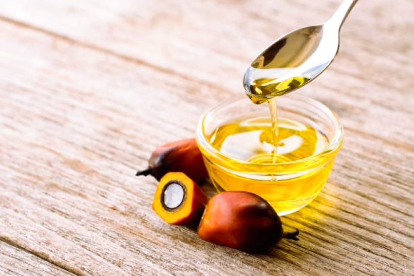 PM Modi Inaugurates India’s First Oil Palm Processing Mill Under ...
