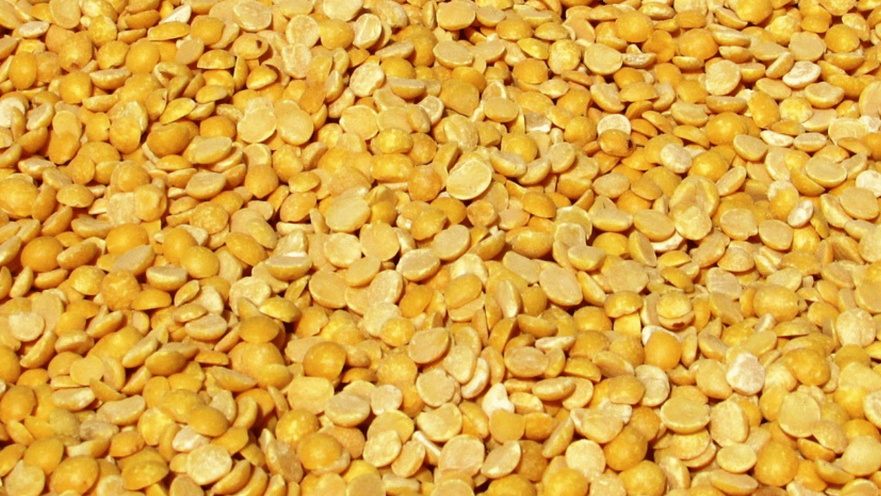 Mandi Updates: Tur Prices Rise across Indian Benchmark Markets on Low ...