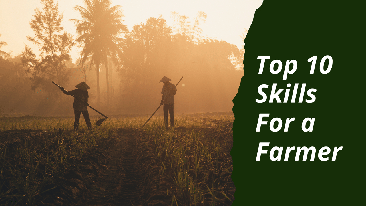 Top 10 Skills for a Farmer