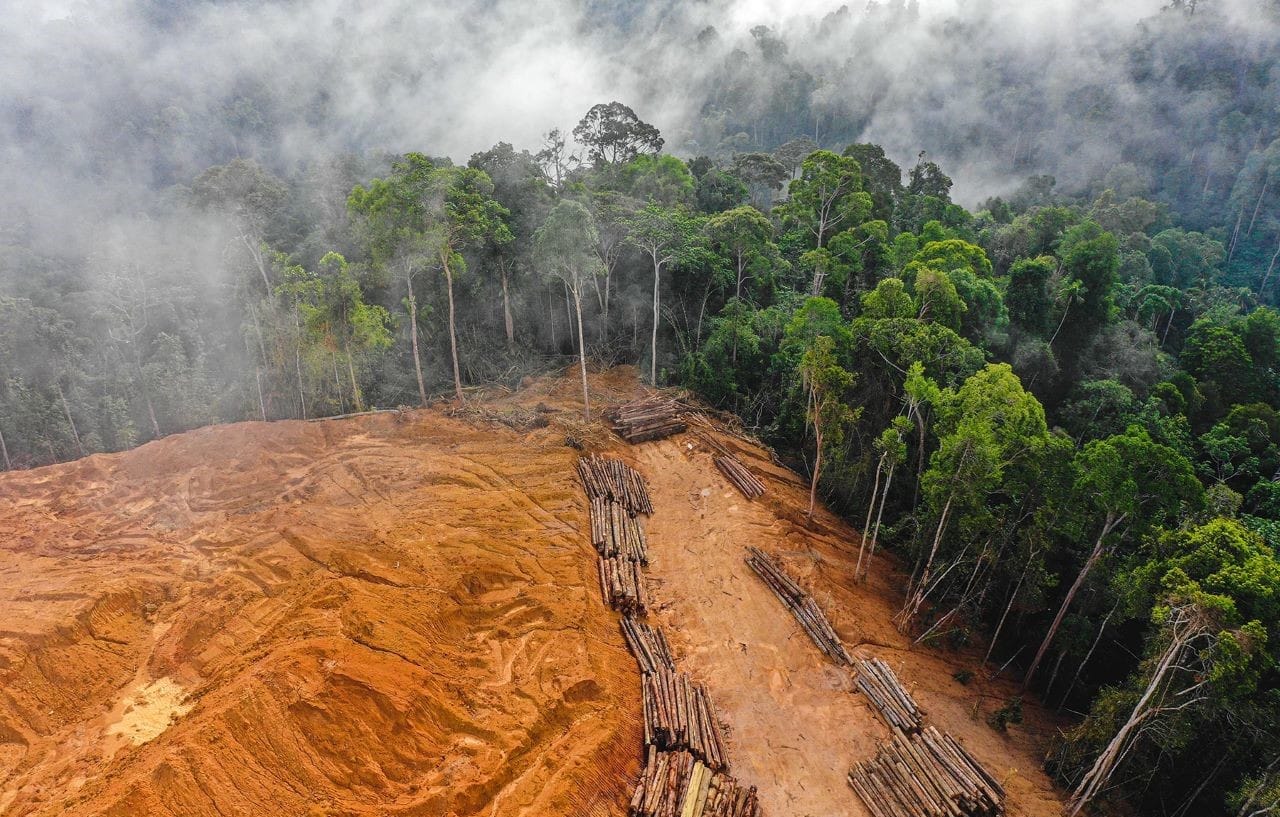 Global Resource Outlook 2024: How Rich Nations Outpace Low-Income ...