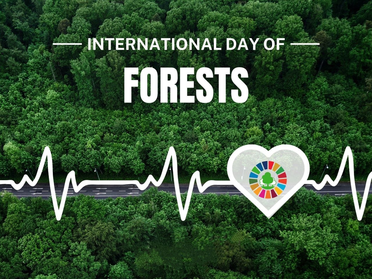 International Day of Forests 2024: Celebrating the Silent Guardians of ...