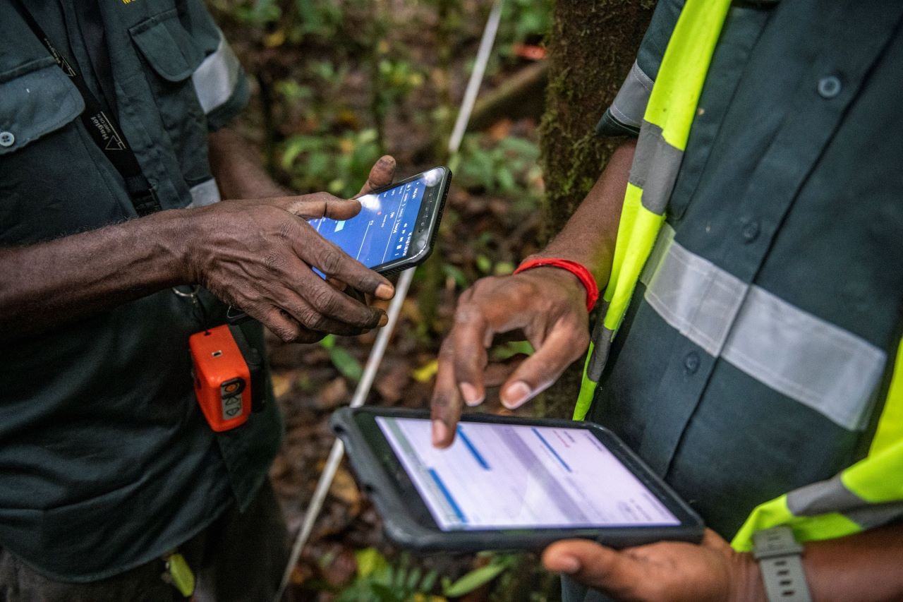 FAO, Google, and Partners Launches ‘Ground’ App to Empower Forest ...