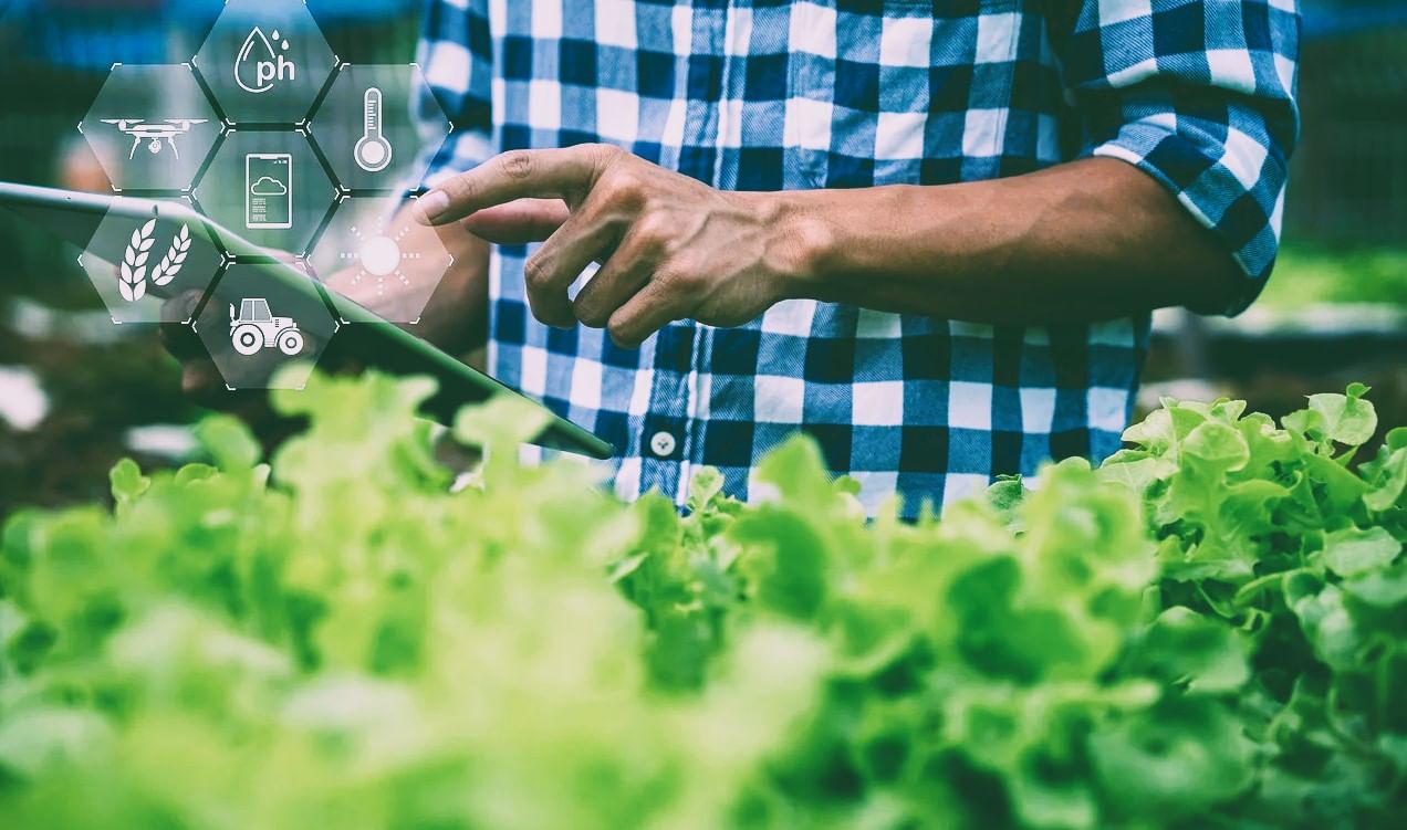 How Can Technology Revolutionize Agriculture Sector to Minimize Food ...