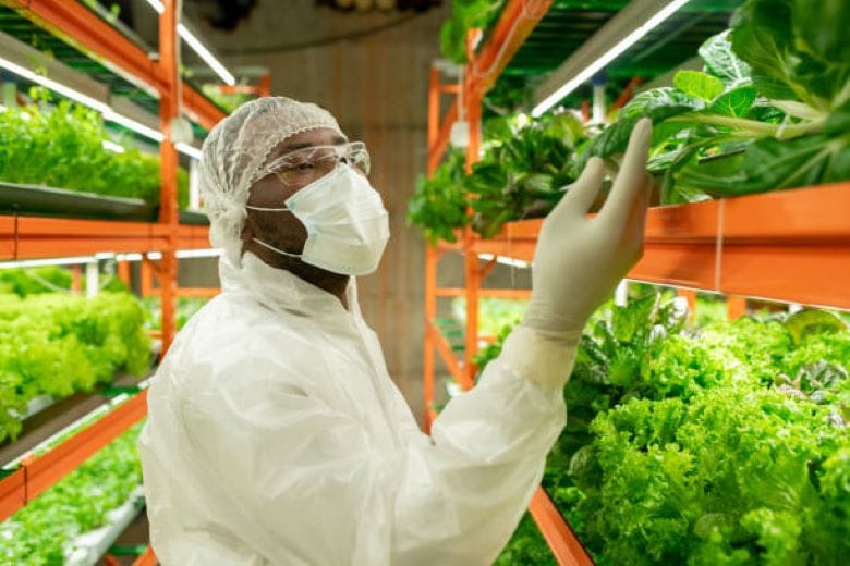 FAO and Mars Partner to Enhance Food Safety and Support One Health ...
