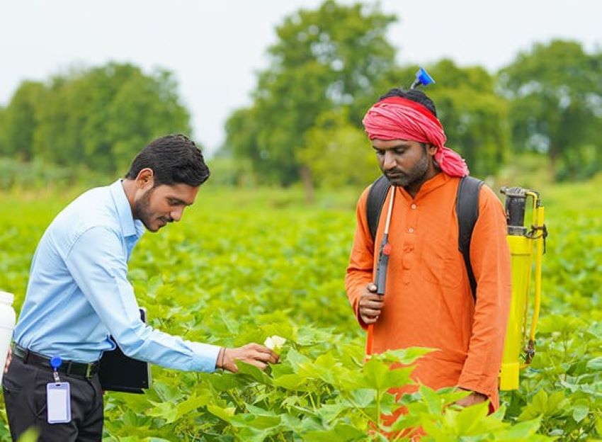 Rallis India Reports FY24 Revenue at Rs 2648 Cr and PAT at Rs 148 Cr ...