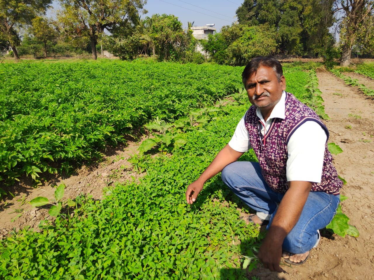Ajay Jadhav Grows 180 Different Crops on 10 Acres; Attracts Customers ...