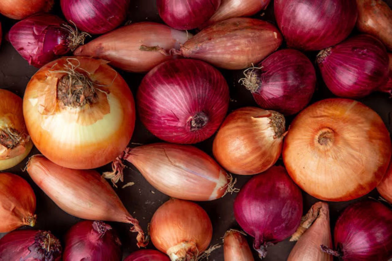 Government Imposes 40% Duty on Onion Exports Effective May 4