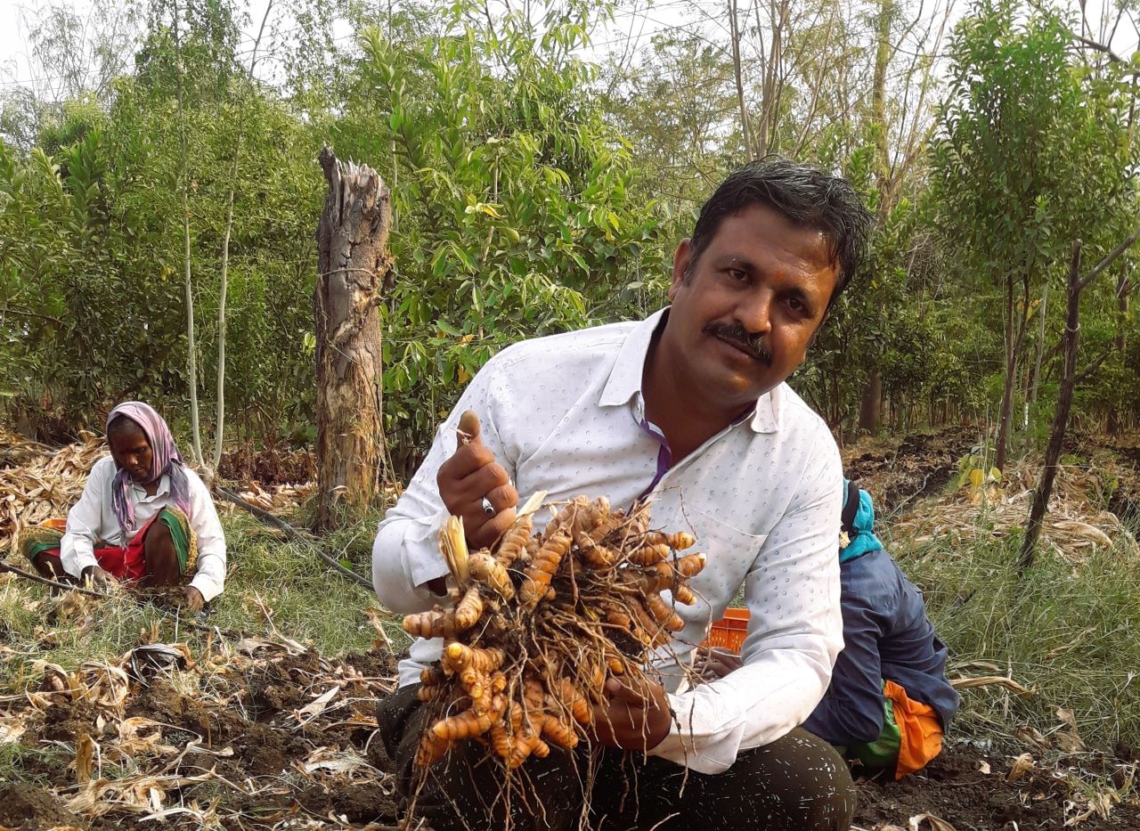 Meet Laxmikanth Hibare: Earning Lakhs from Turmeric on His 3.5 Acres of ...