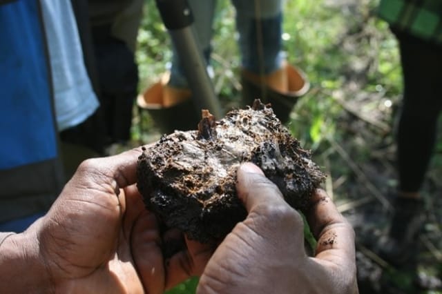 Can Carbon Farming Transform Agriculture into a Sustainable Practice?