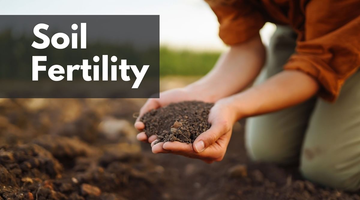 What is Soil Fertility and Why is it Important?