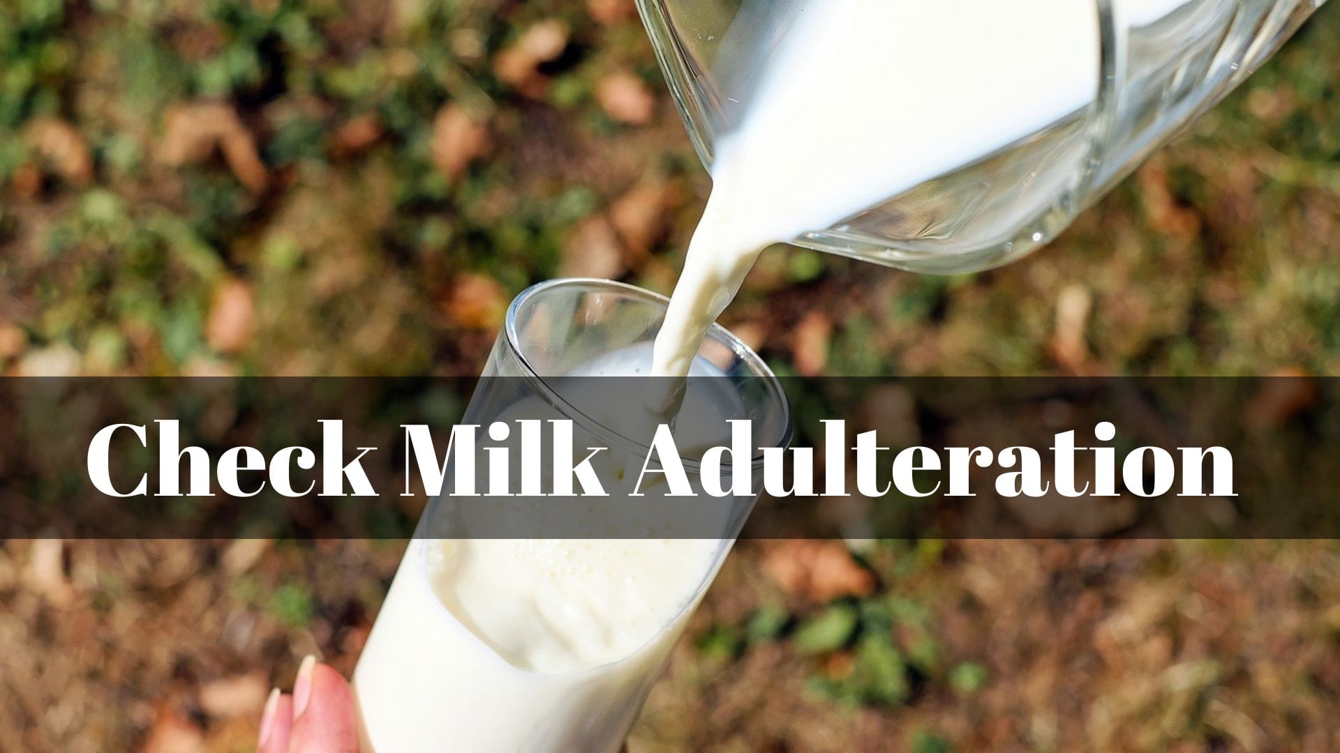 How to Check Milk Adulteration at Home