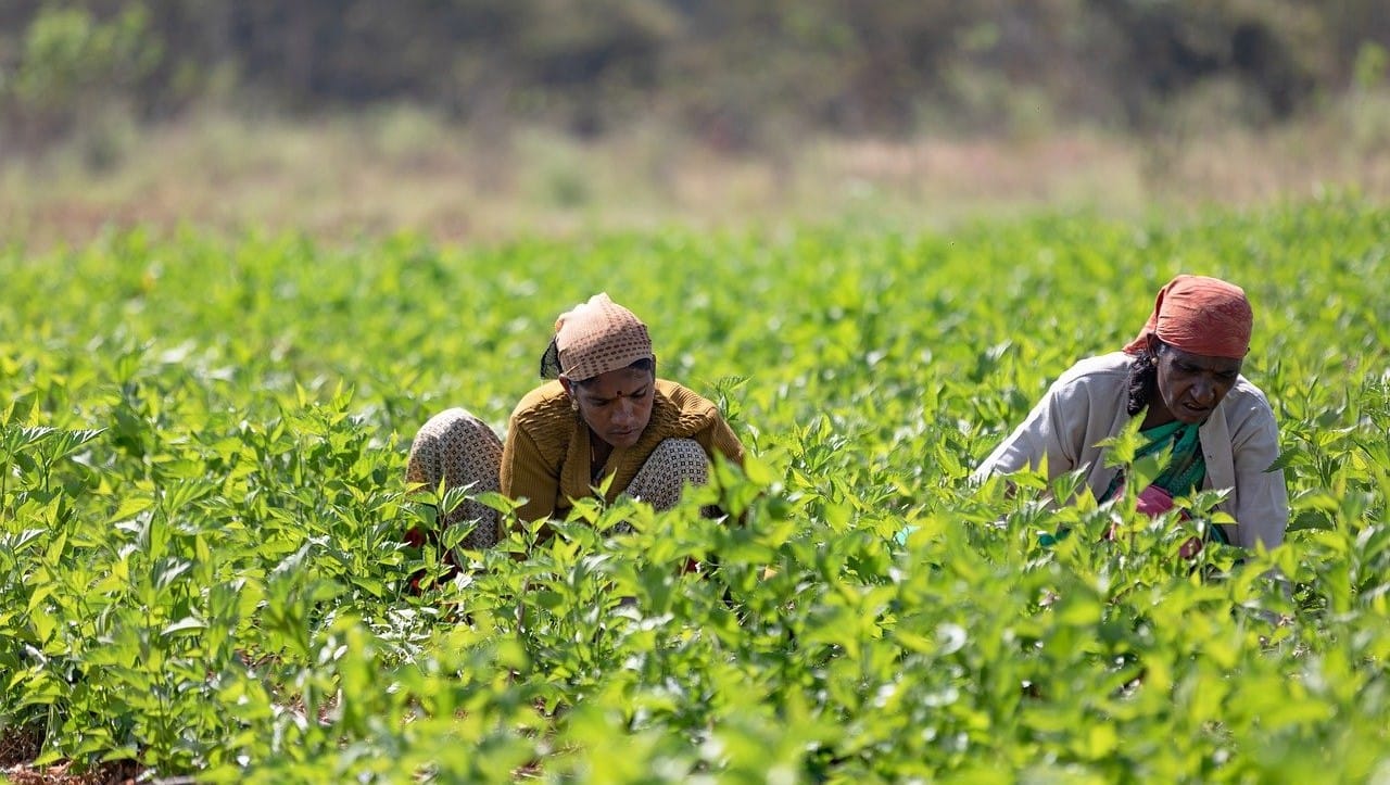 UP Govt to Establish Farmer Producer Cell to Ensure Schemes Benefits ...