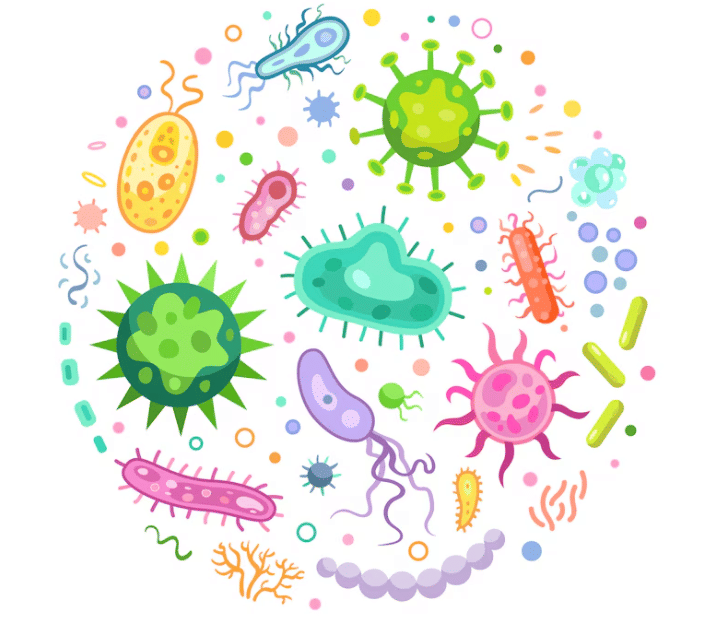 World Microbiome Day: Feed Your Microbes and Make Good Dietary Choices