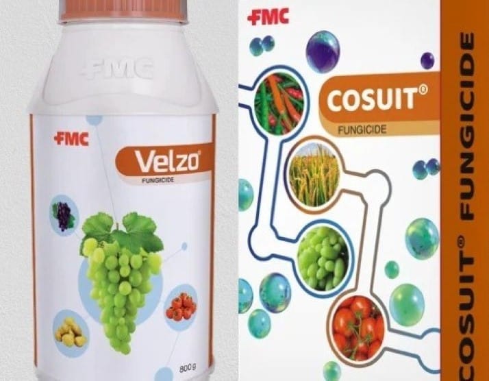 FMC India Launches Innovative Velzo and Cosuit Fungicides to Protect ...