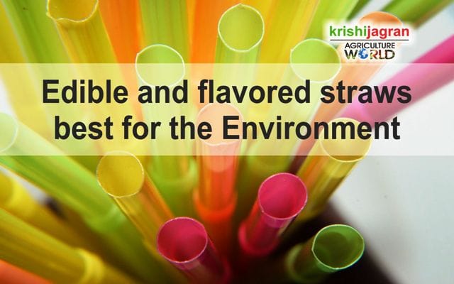 Edible and flavored straws best for the Environment