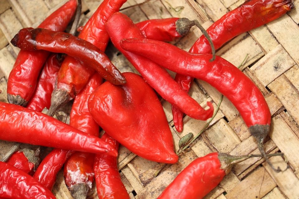 A Sneak Peak at India's Diverse Chili Varieties