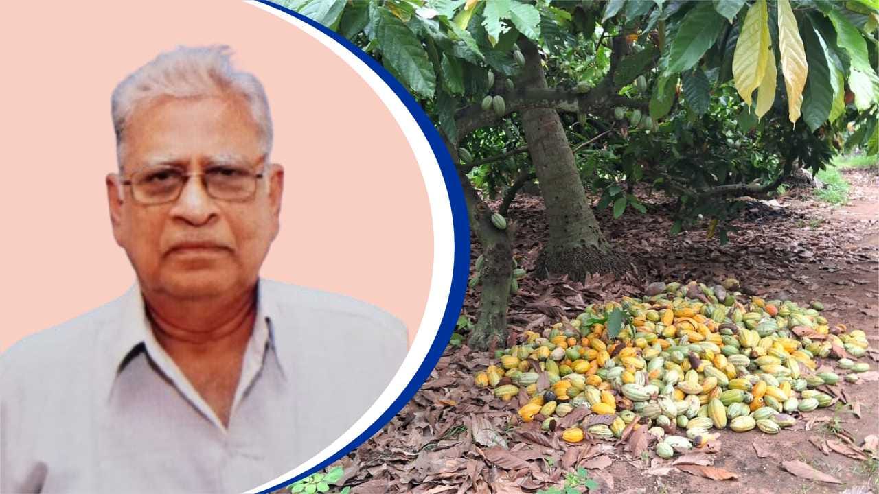Military Service to Cocoa Fields: How Cocoa Farming Changed the Life of ...