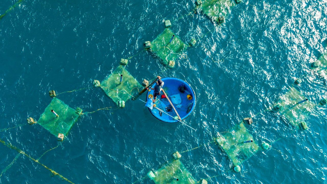 Biofloc Fish Farming: An Eco-Friendly Aquaculture Revolution in India