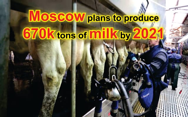 Moscow plans to produce 670k tons of milk by 2021