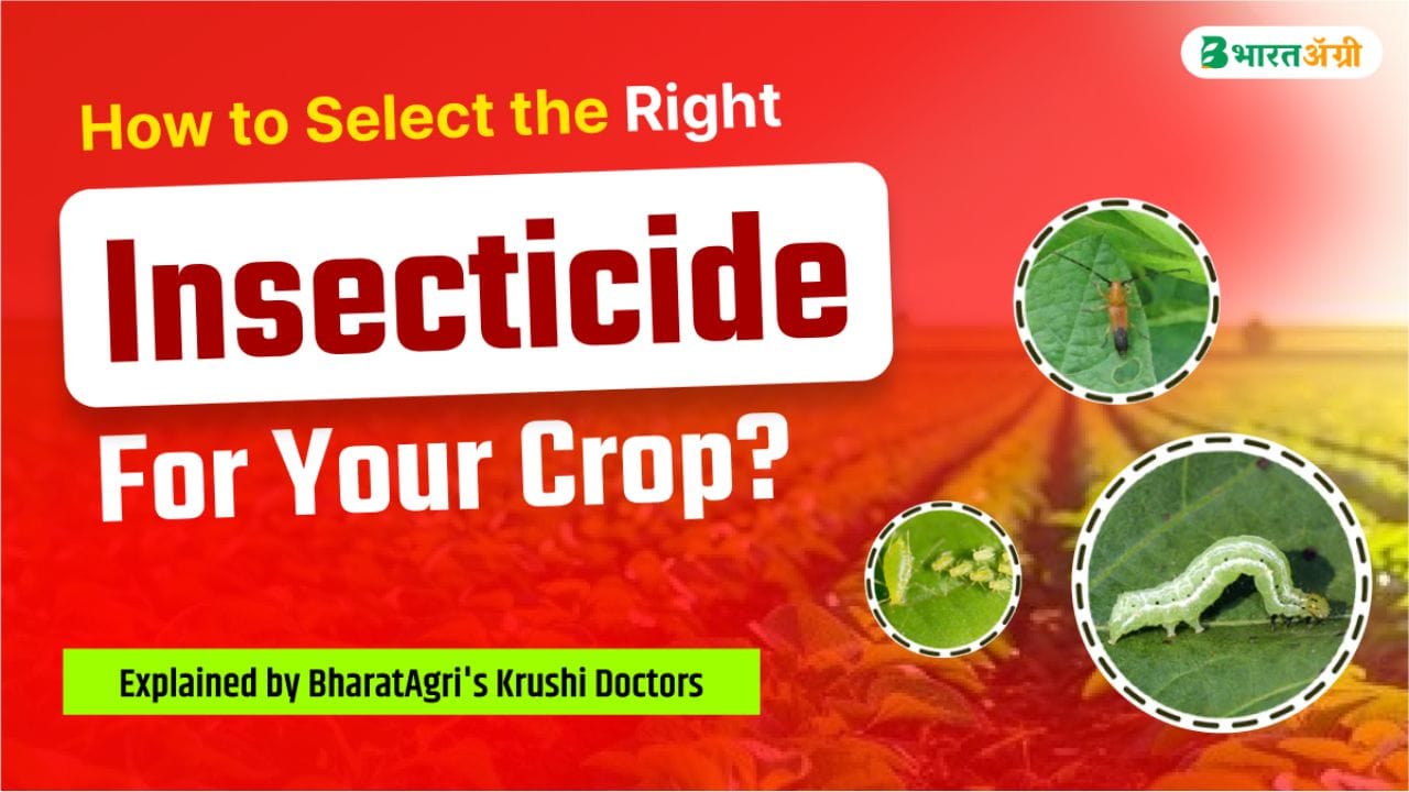 How to Select the Right Insecticide for Your Crop? Explained by ...