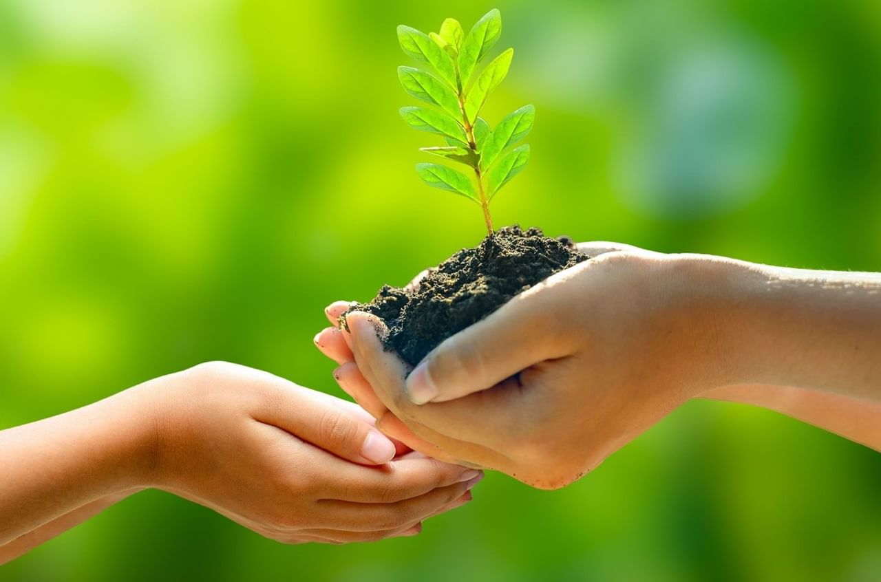 World Nature Conservation Day 2024: History, Significance, Theme, Facts ...