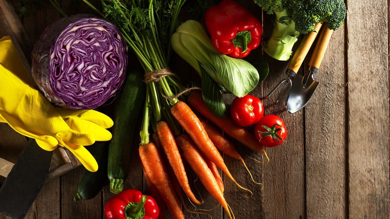 Maximize Your Earnings This August with 7 High-Profit Crops