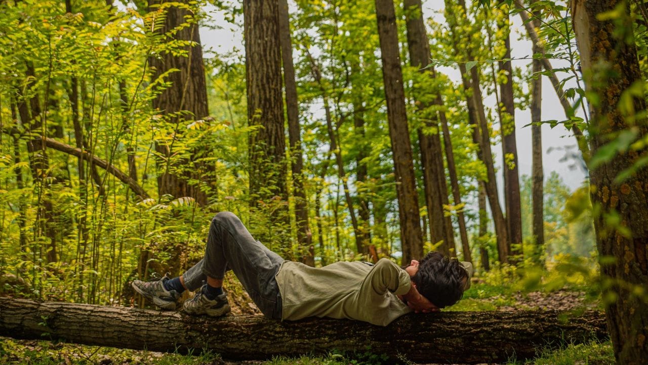 National Lazy Day: Celebrating Relaxation in a Fast-Paced World